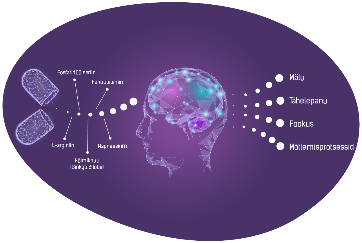 Avaleht - solemaxneuro-estonia